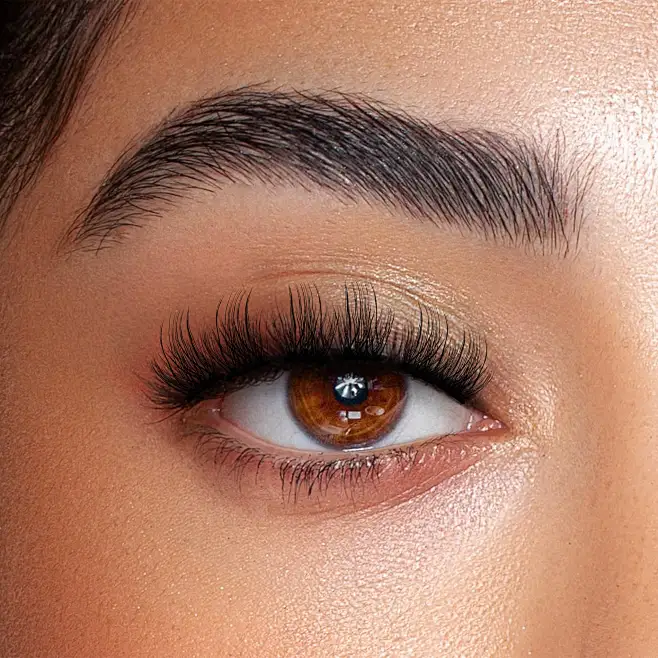Close-up of a beautifully groomed eye with lush, thick eyelashes and a ...