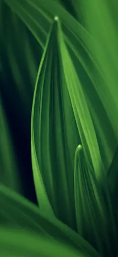 青绿色图片大全-青绿色高清好看的图片--花瓣千尢的画板