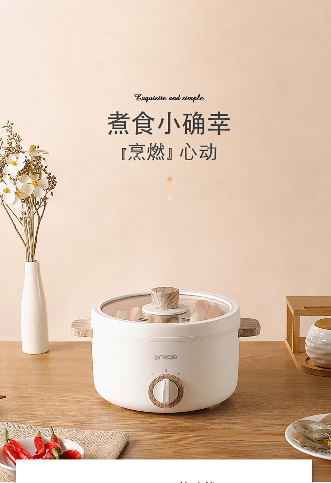 德国ankale电火锅多功能家用小型电煮锅宿舍学生锅煮面单人小火锅-tmall.com天猫-花瓣网