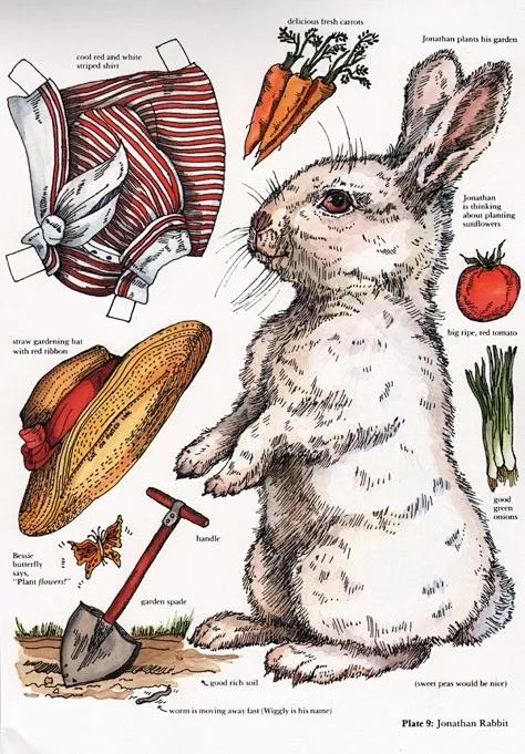 Rabbit Paper Doll Printable: -花瓣网
