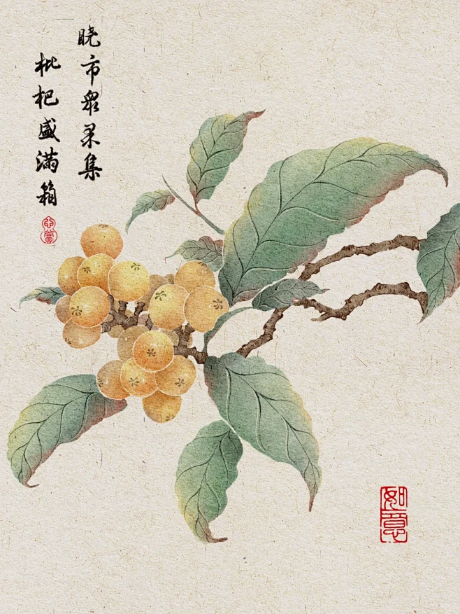 国画之～枇杷 步骤图（附线稿） - 小红书-花瓣网