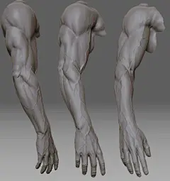Rey Bustos - 2D Anatomy Drawing Class | July 12th Register: http ...