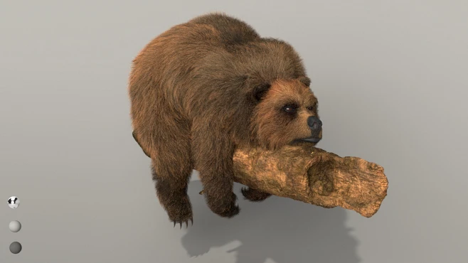 Bear !, Jordan soler & Félix Ferrand : Hello guys, Here is my last ...