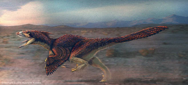 Dakotaraptor Restored by TheDragonofDoom-花瓣网