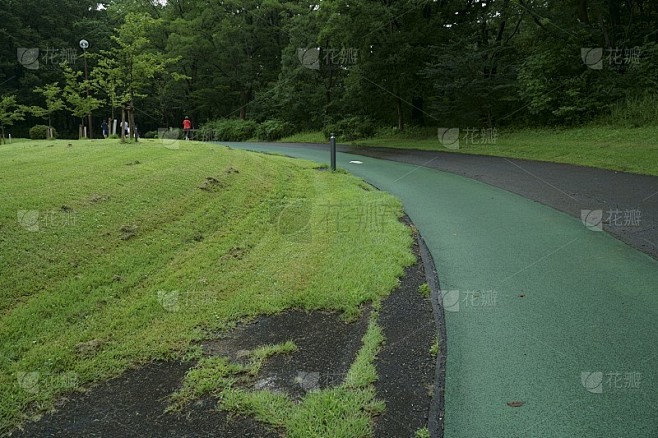 Running path in the park