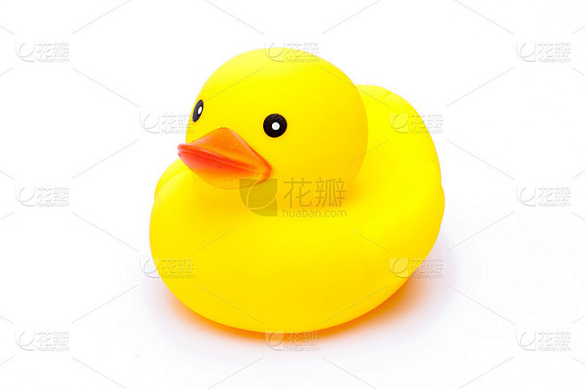 白色背景上的黄色橡皮鸭。
