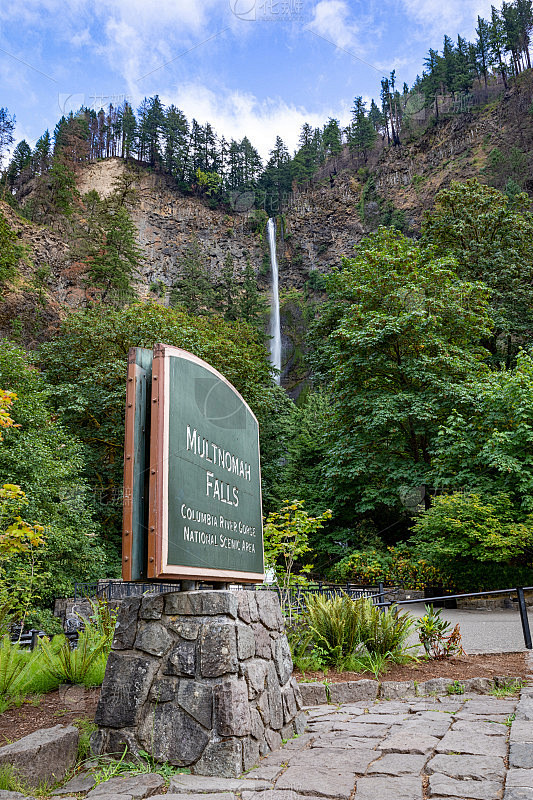 Multnomah Falls during Summer Vertical View