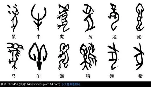 男甲骨文的搜索结果_百度图片搜索-花瓣网