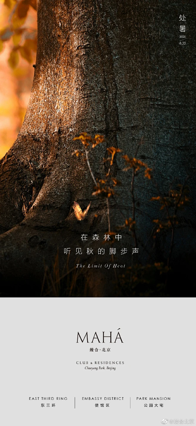 #缦合·北京# 在缦园 40万方原生林境间 迎接 北京最美的季节 ———————— MAHÁ BEIJING...展开全文c-花瓣网