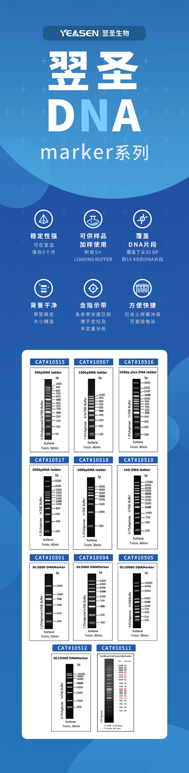 翌圣DNA-marker系列