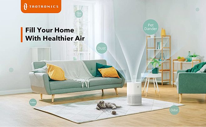 047709de-6278-4f34-980c-bcbf024c2fab.__CR0,0,1940,1200_PT0_SX970_V1___