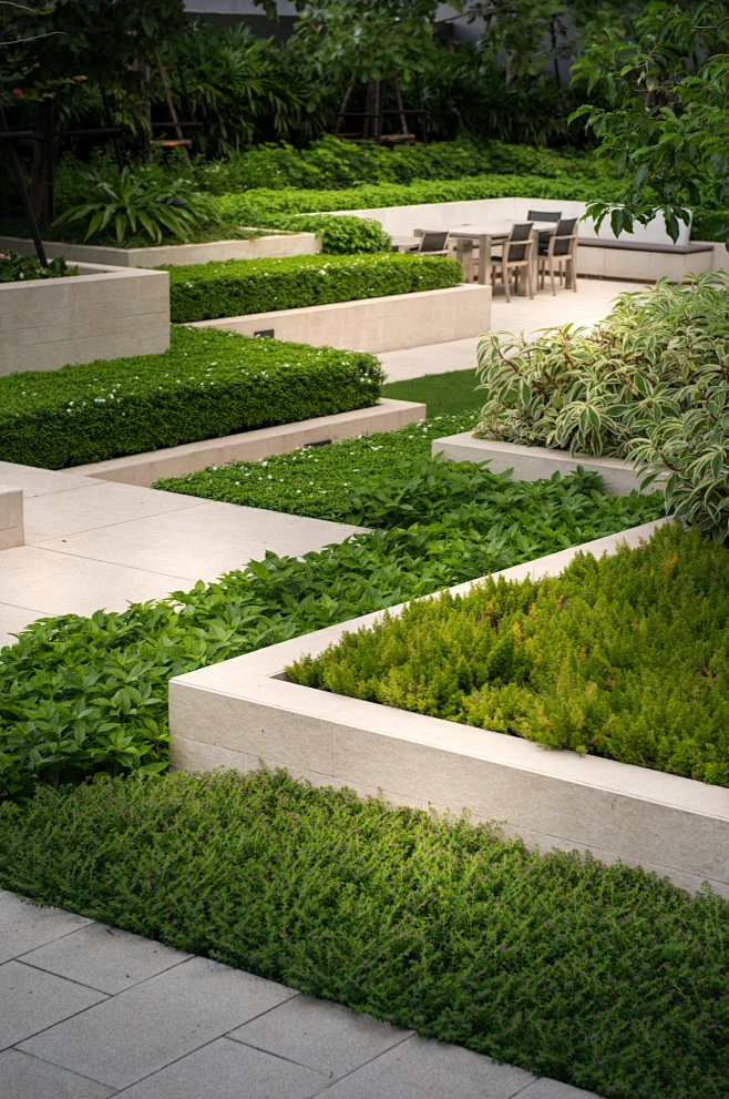 曼谷沙吞豪华公寓 / L49 – mooool木藕设计网图片_植栽细节图片素材-花瓣网