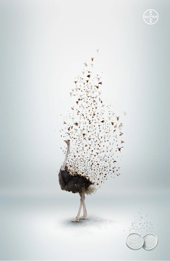 Alka on Behance-花瓣网