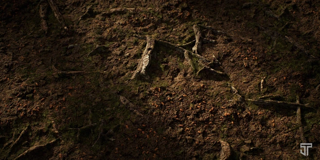 Forest Ground Material-花瓣网