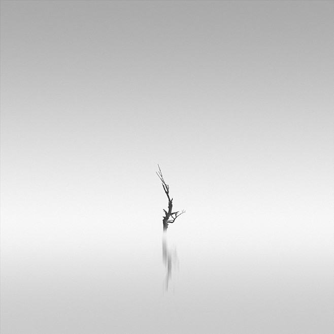 the poetry of nature on Behance-7