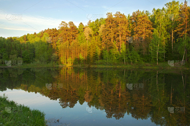 湖,森林,水,天空,水平画幅,无人,夏天,户外,草,树林