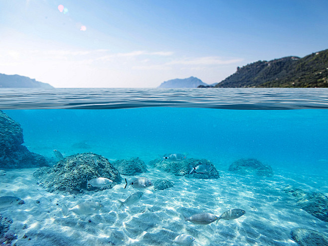 Ted-Chin_SS2_AdobeStock_4 (960×720)