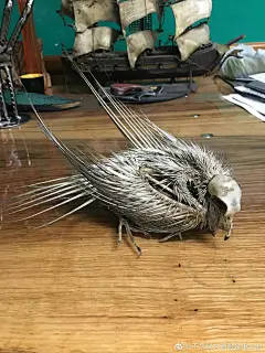 longzhua (1)-花瓣网