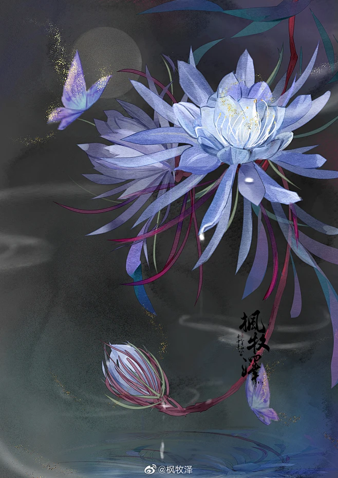 昙花一现-花瓣网