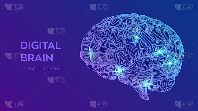 Brain. Digital brain. 3D Science and Technology co