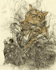 插画师｜Leo Forest-花瓣网|陪你做生活的设计师 | 星球的微博 - 微博