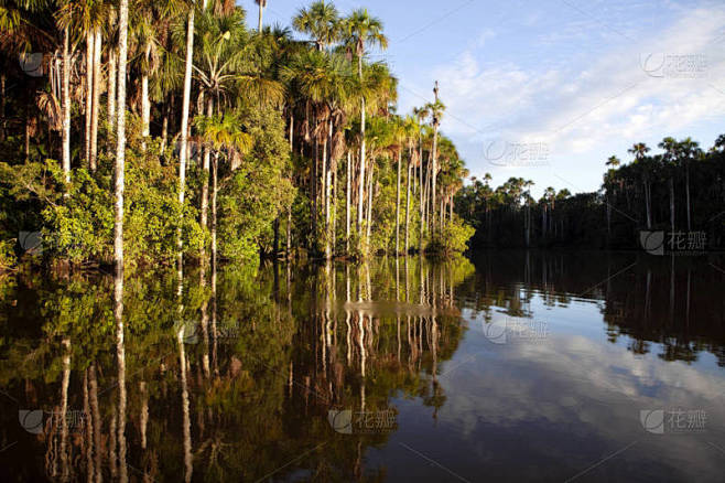 秘鲁桑多瓦尔宁静湖泊中的森林树木倒影