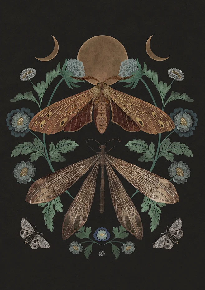 ILLUSTRATION botanical illustration botanical nature illustration ...