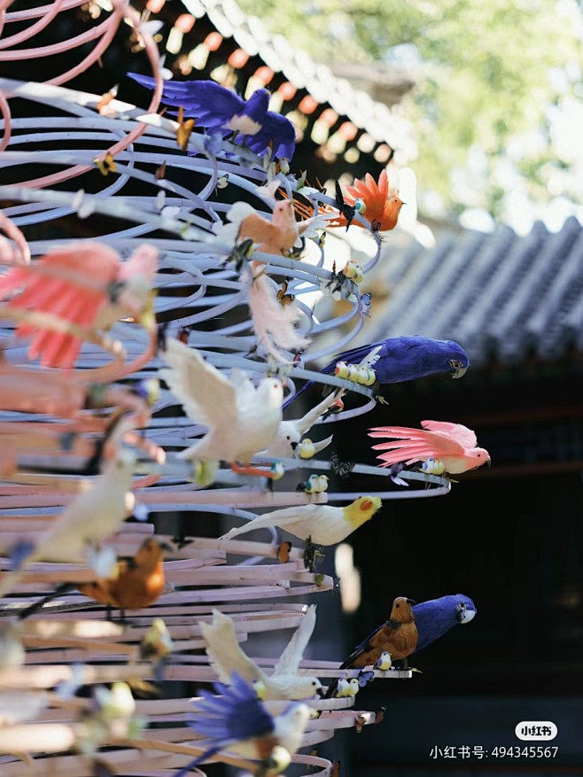来自分享