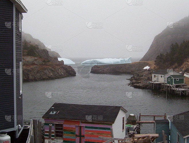 所以我看到了，NFLD