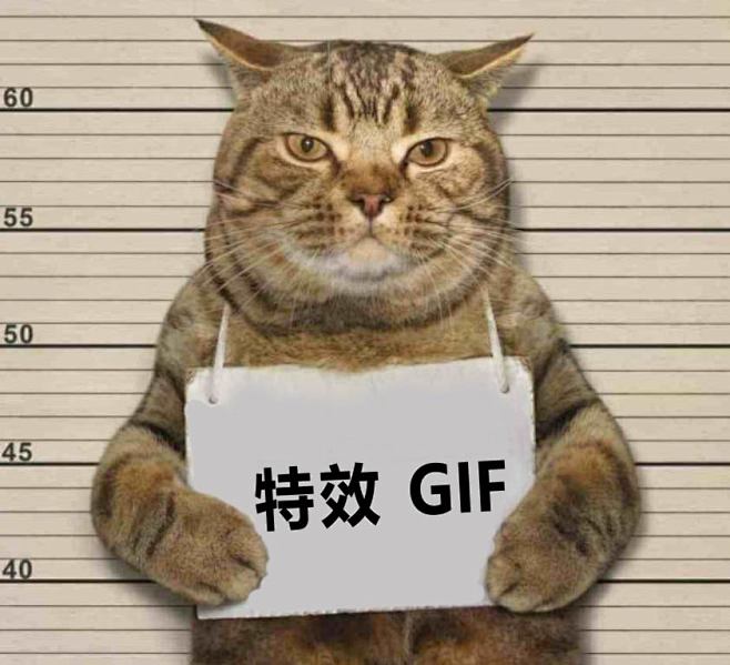 特效 GIF_00000