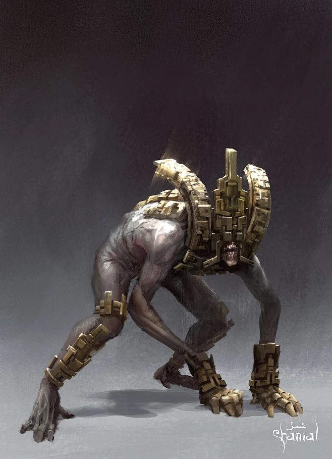 Shamal visual development-花瓣网