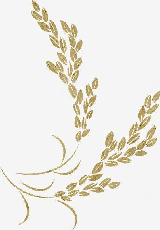 稻米png免抠素材_新图网 https://ixintu.com 大米 稻 稻穗-花瓣网