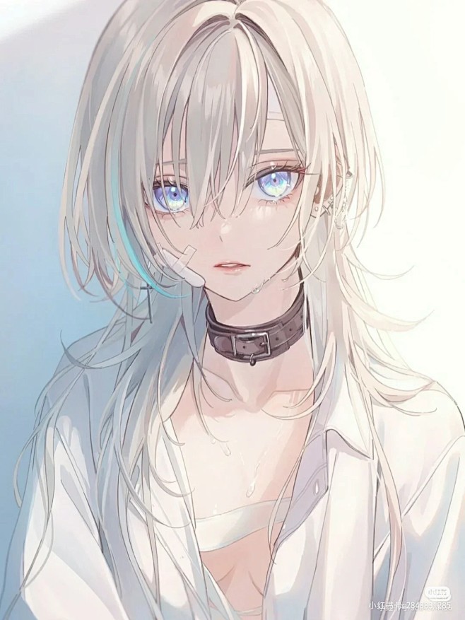 花瓣