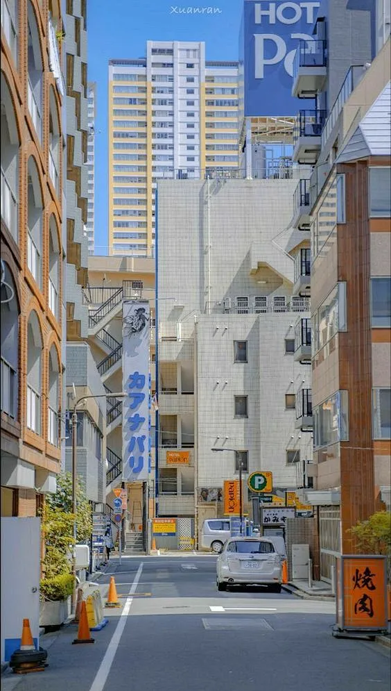 (42) Pinterest-花瓣网