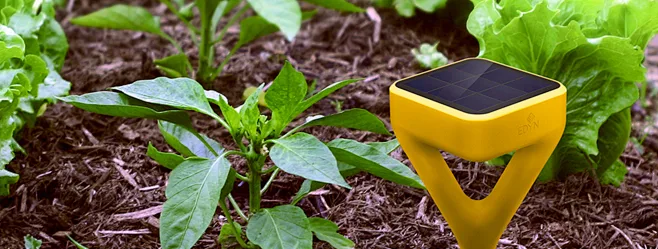 Edyn_garden_sensor_1_case_study_2x_3360x1270-3200x1209-花瓣网