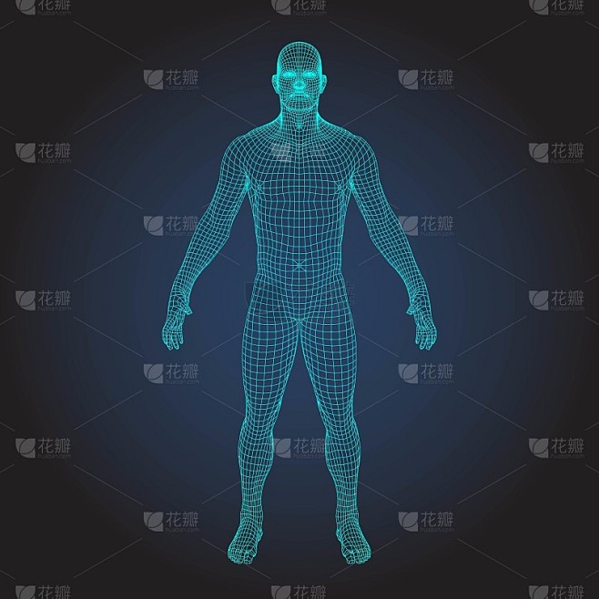 3D wire frame human body Polygonal Low Poly