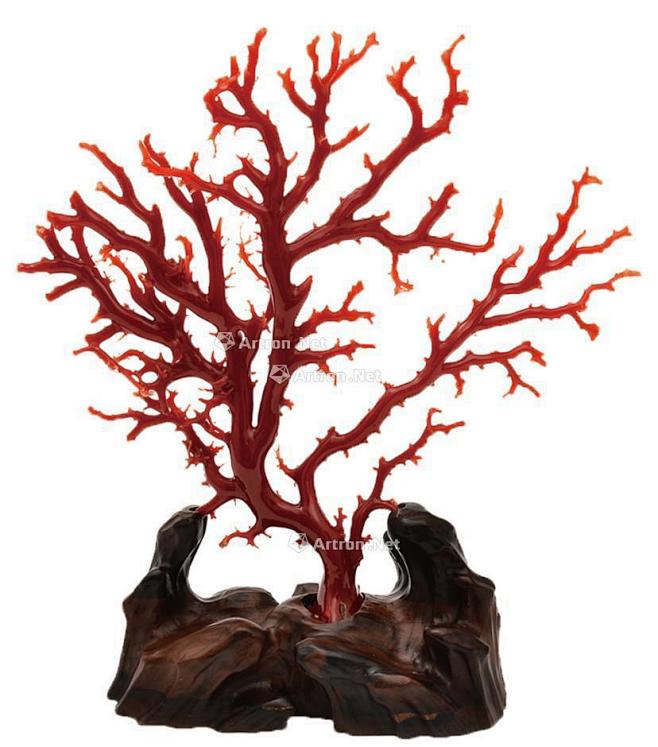 红珊瑚摆件.jpg (828×940)