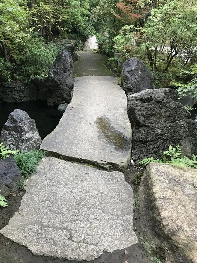 640 (1080×1440)-花瓣网