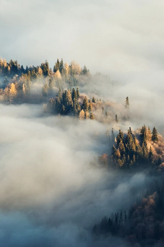 (29) Tumblr-花瓣网