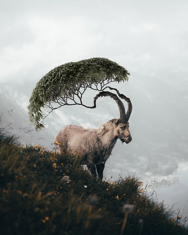 Creative Photo Manipulations by Ted Chin-花瓣网