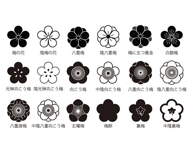 UME KAMON-Family Crest for Japanese Plum illustration | Free Vector ...