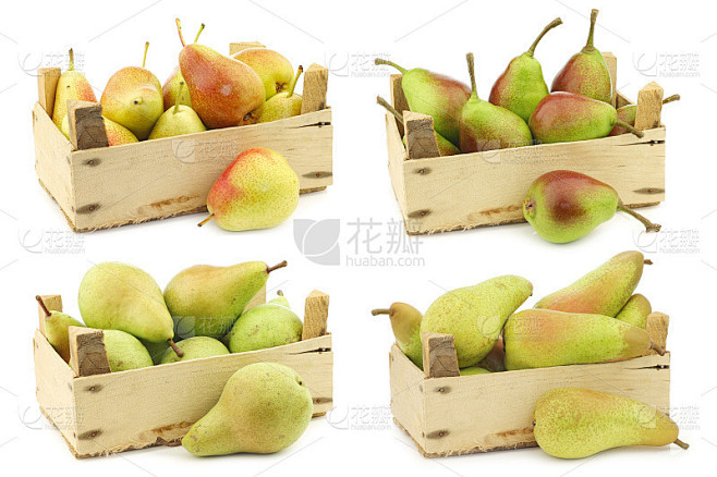 新鲜的forerelle, Qtee, Migo和Abate梨在一个木箱