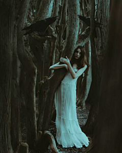 摄影｜哥特｜Crystal Lee Lucas（美国）-花瓣网|陪你做生活的设计师