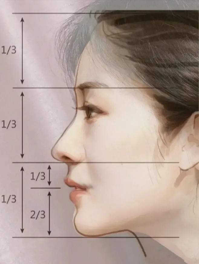 完美侧脸的搜索结果_百度图片搜索-花瓣网