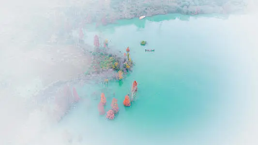 电脑壁纸高清全屏唯美_百度图片搜索-花瓣网