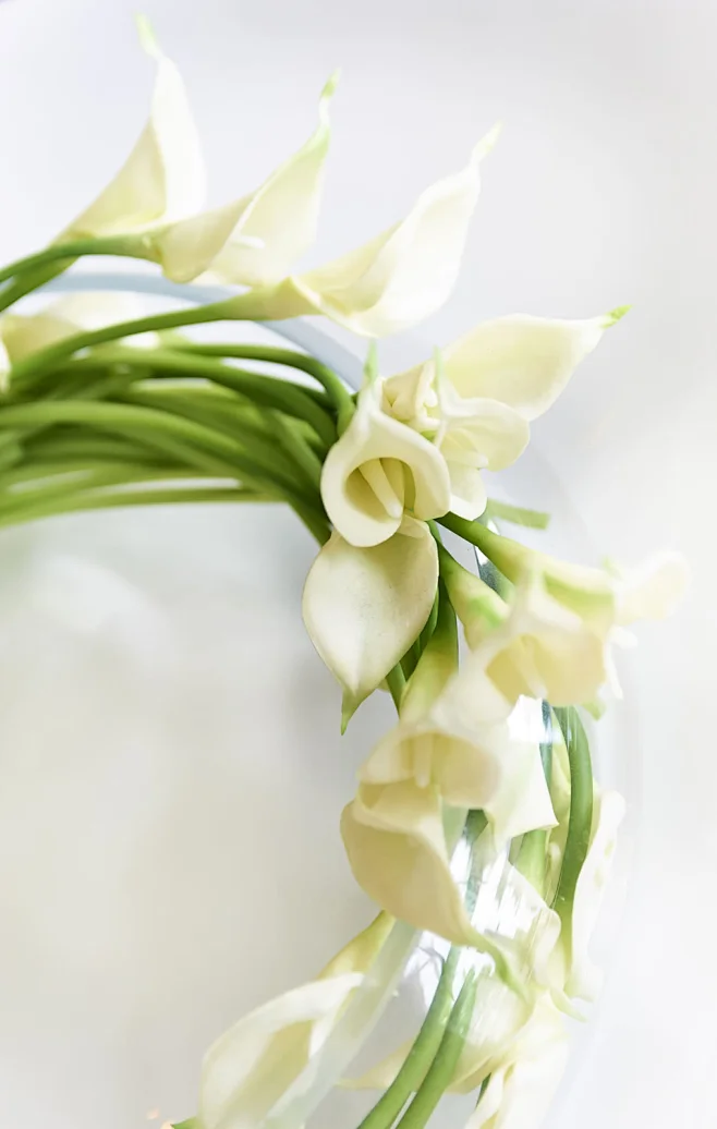 Burlington Interior Design Project: Contemporary Classicism : This ...