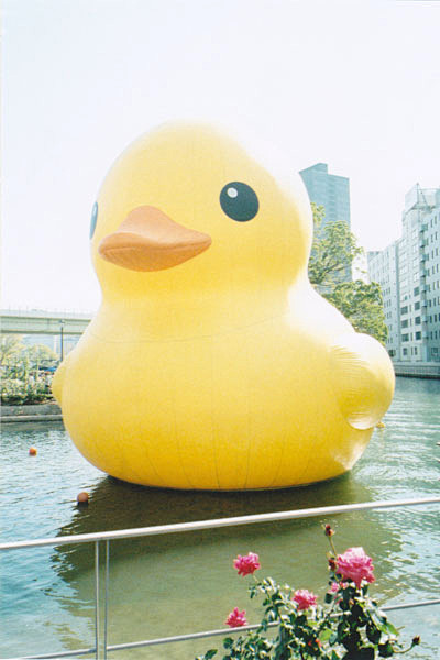 RubberDuck