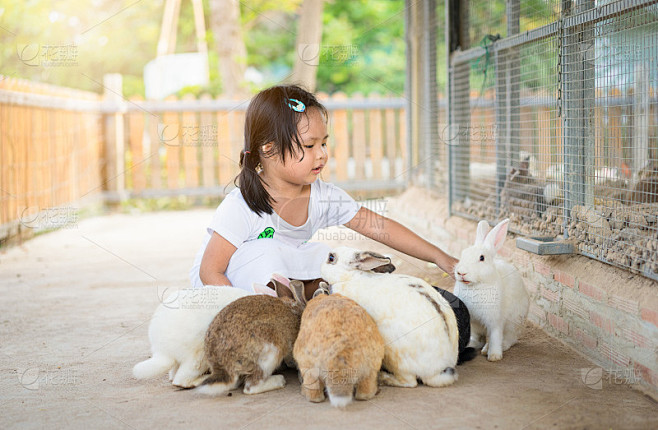 可爱的小女孩在农场里喂兔子