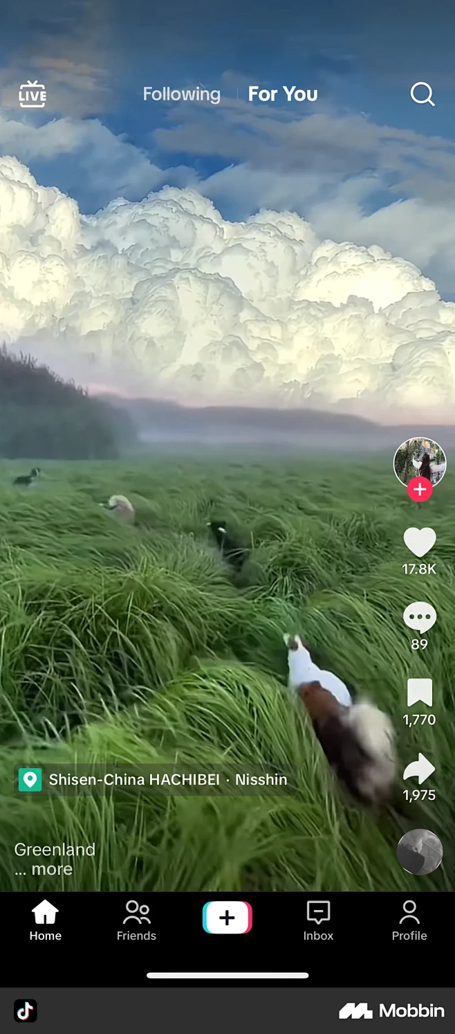 TikTok screen-花瓣网