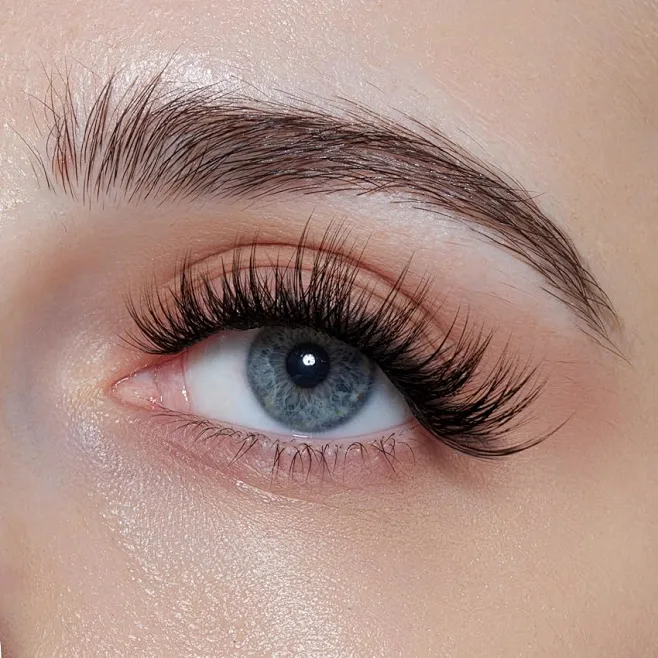 BEYELIAN Plume Individual Lashes - Luxury is the lash for any occasion ...